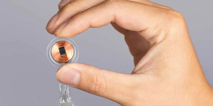 Neuralink under investigation over animal testing - World Stock Market