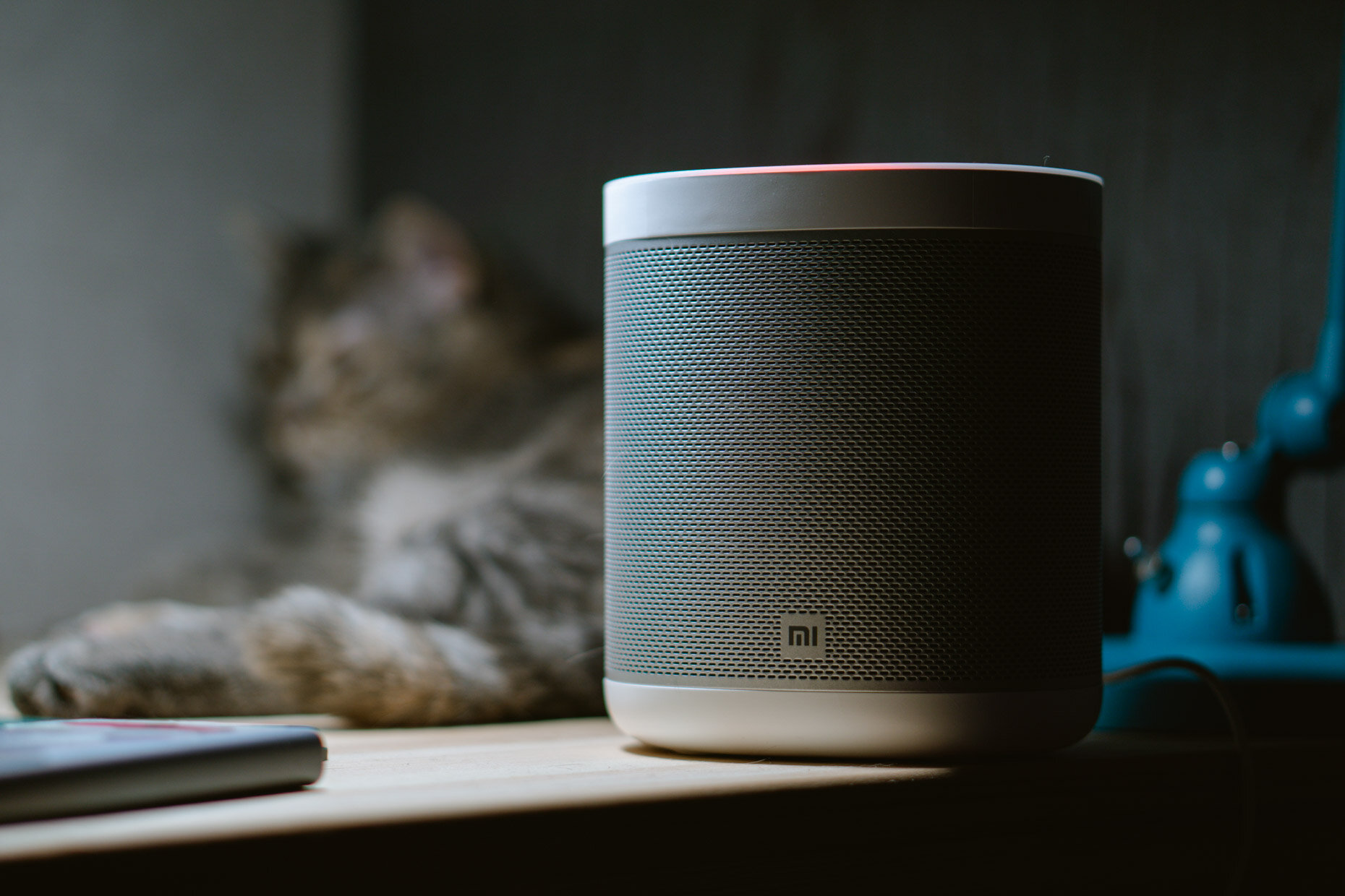 Ни хао, Маруся: обзор колонки Xiaomi Mi Smart Speaker с русским ассистентом