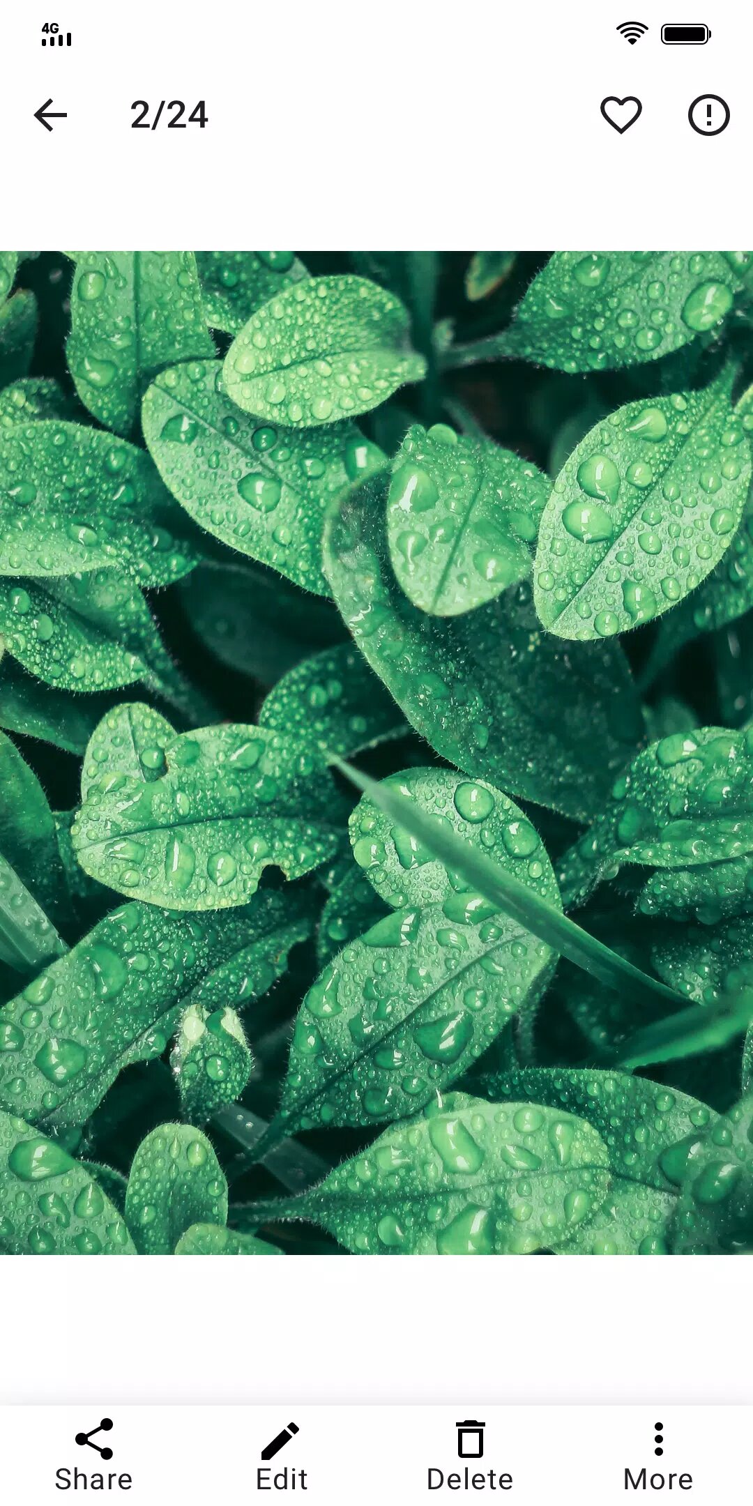 Скачать Vivo Gallery 3.0.4.24 для Android