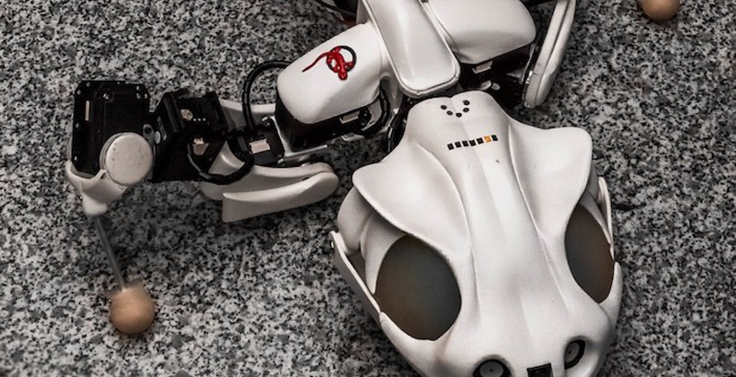 Pleurobot — робот, скелет, саламандра