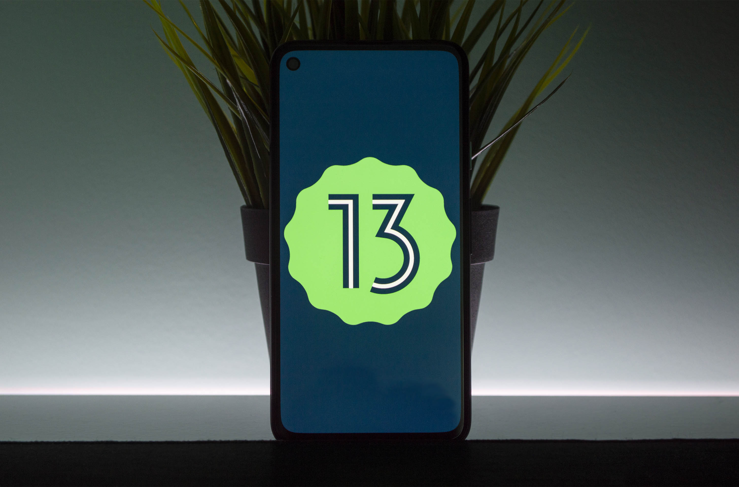 Обзор Android 13 Developer Preview 1: что изменилось